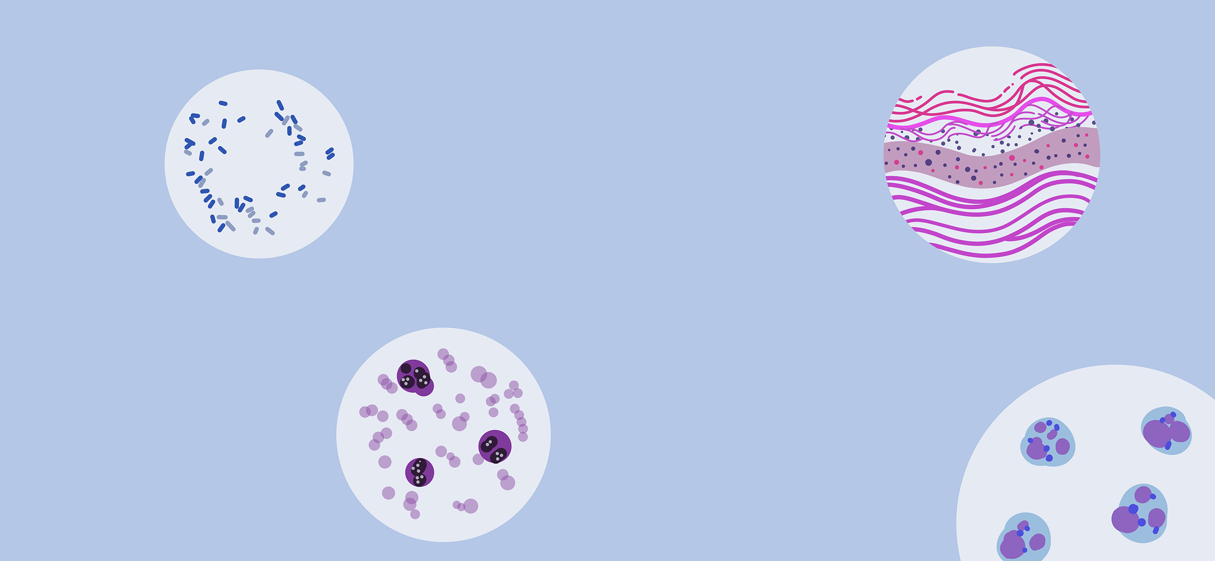 Veterinary Dermatology & Ear Specialist West LA | Veterinary Skin & Ear